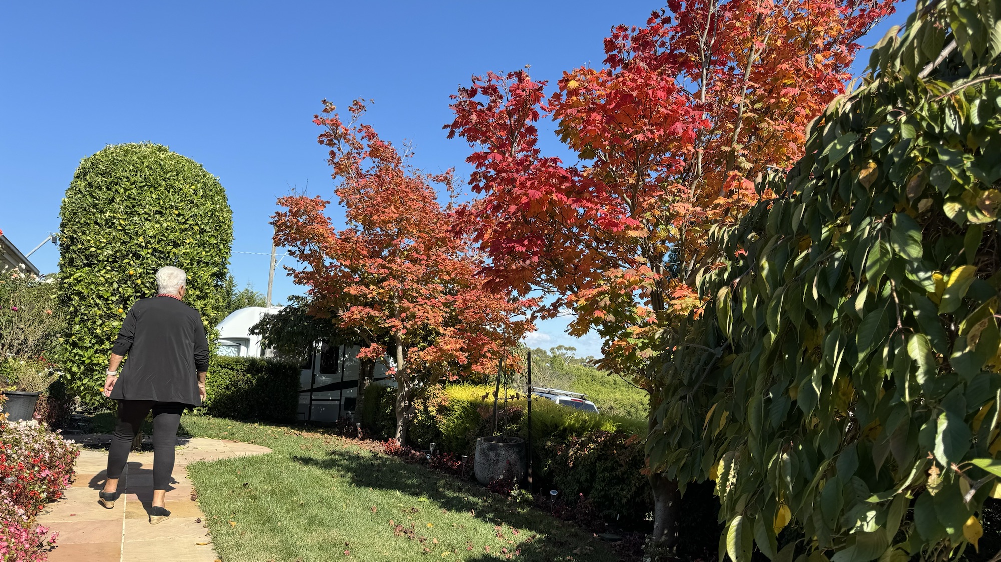 1. Great Life lapping Australia 2024 – great life – retired got nothing on